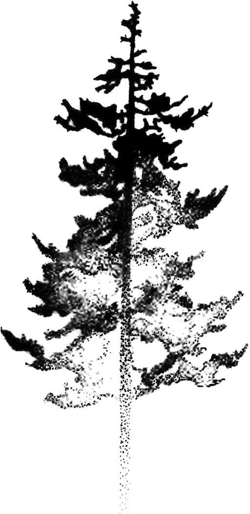 Black Watercolor Tree Tattoo