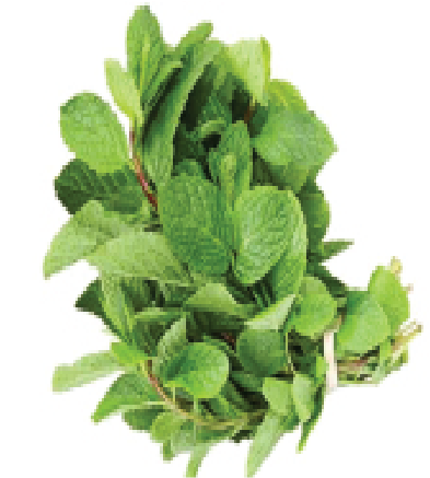 Download Mint Leaves 5 Bundles - Houseplant - Full Size PNG Image - PNGkit