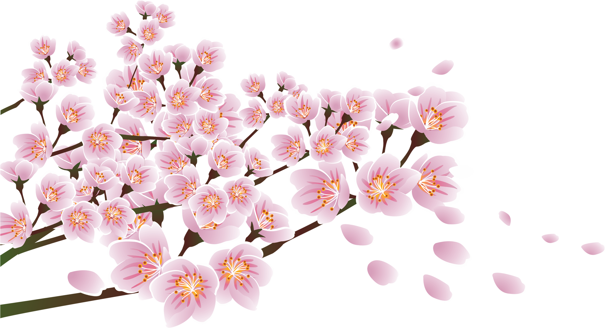 Download Download Flower Floral Design Blossom - Ppt - Full Size PNG ...