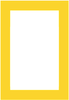 Download National Geographic Logo - National Geographic Yellow Frame ...