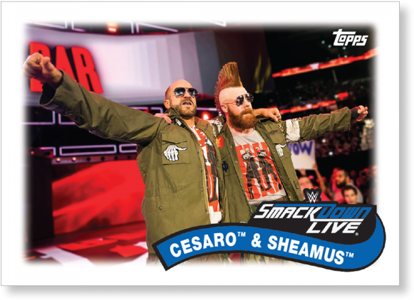 Download Gallery - Banner - Full Size PNG Image - PNGkit