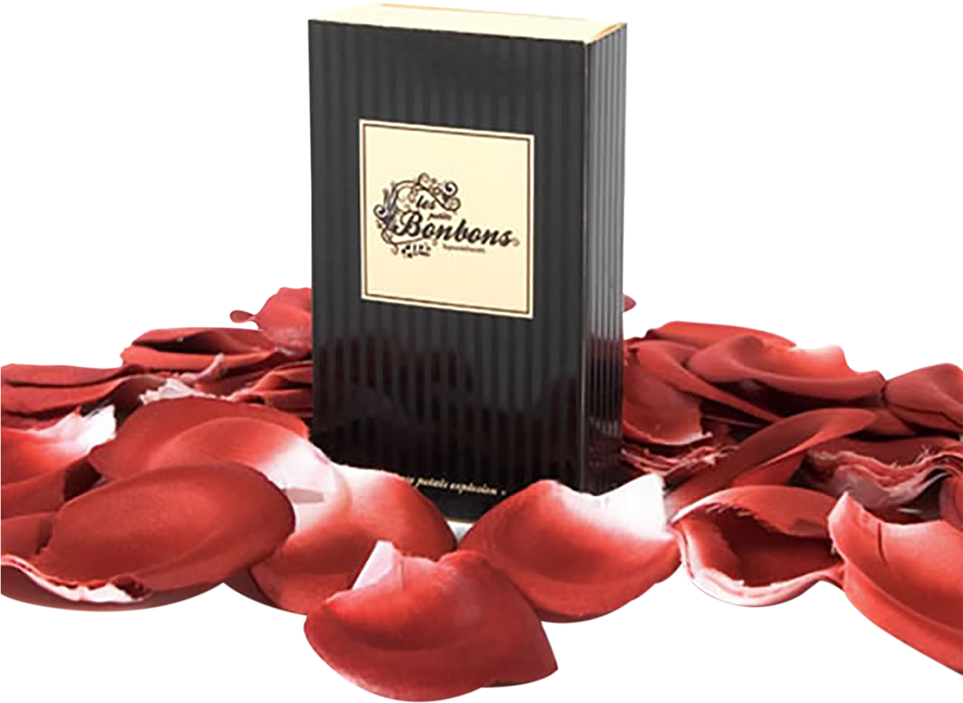 Download Bijoux Indiscrets Rose Petal Explosion Box - Bijoux Indiscrets ...
