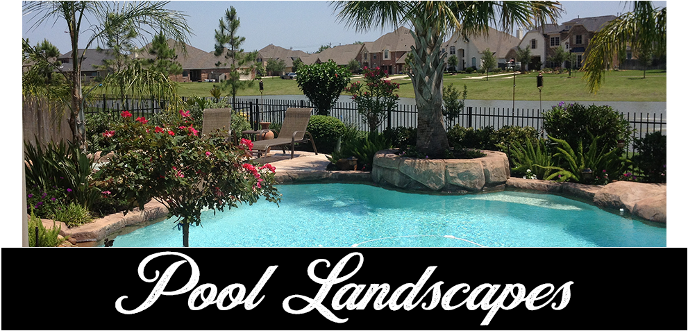 Download Pool Landscaping, Pool Landscapes, Pool Scaping - Swimming ...