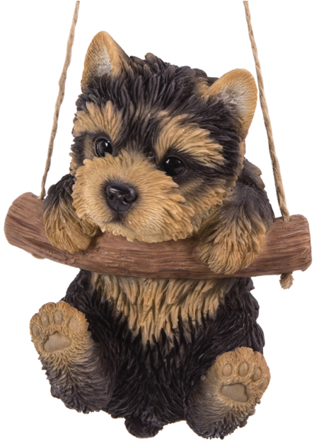 Download Adorable Yorkie Pup Hanging On A Branch Swing Playful ...