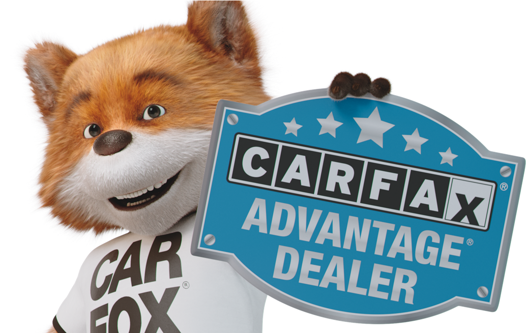 Download Shopping Options - Animal Figure - Full Size PNG Image - PNGkit