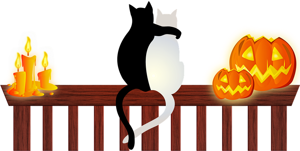 Download Keep Your Cat Safe This Halloween - Halloween Cats - Full Size ...