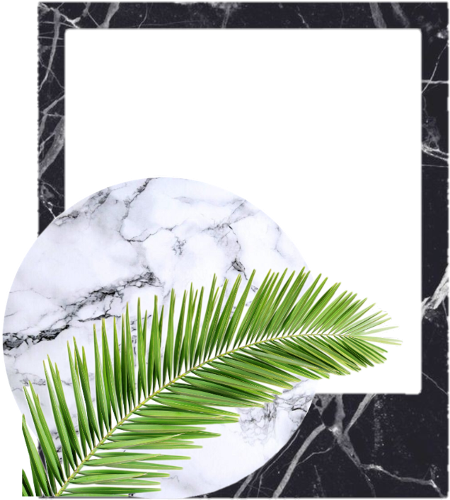 Download Plants Sticker - Picture Frame - Full Size PNG Image - PNGkit