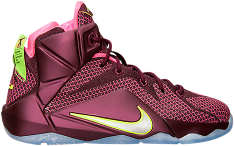 Download Nike Lebron 12 Gs 'double Helix' - Basketball Shoe - Full Size ...