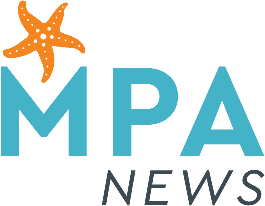 Download Large Meteorite Lands In Mpa - Campro Logo - Full Size PNG ...