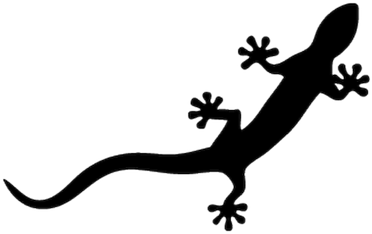 Download Audi 30 Ans Quattro 2 - Audi Gecko - Full Size PNG Image - PNGkit