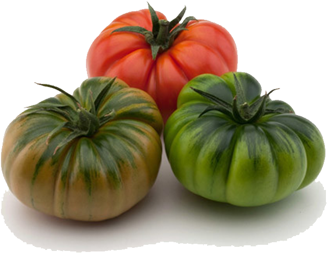 Download Tomate Marmande - Maremagno F1 - Full Size PNG Image - PNGkit