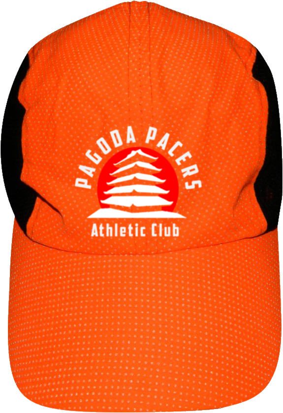 Download Reflective 4 Panel Hat - Baseball Cap - Full Size PNG Image ...