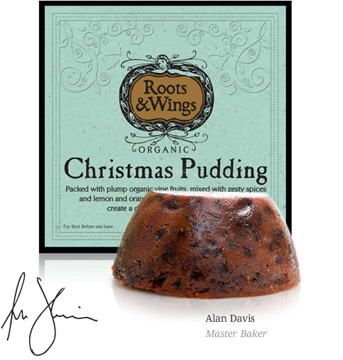Download Christmas Pudding Illustration - Roots And Wings Christmas ...