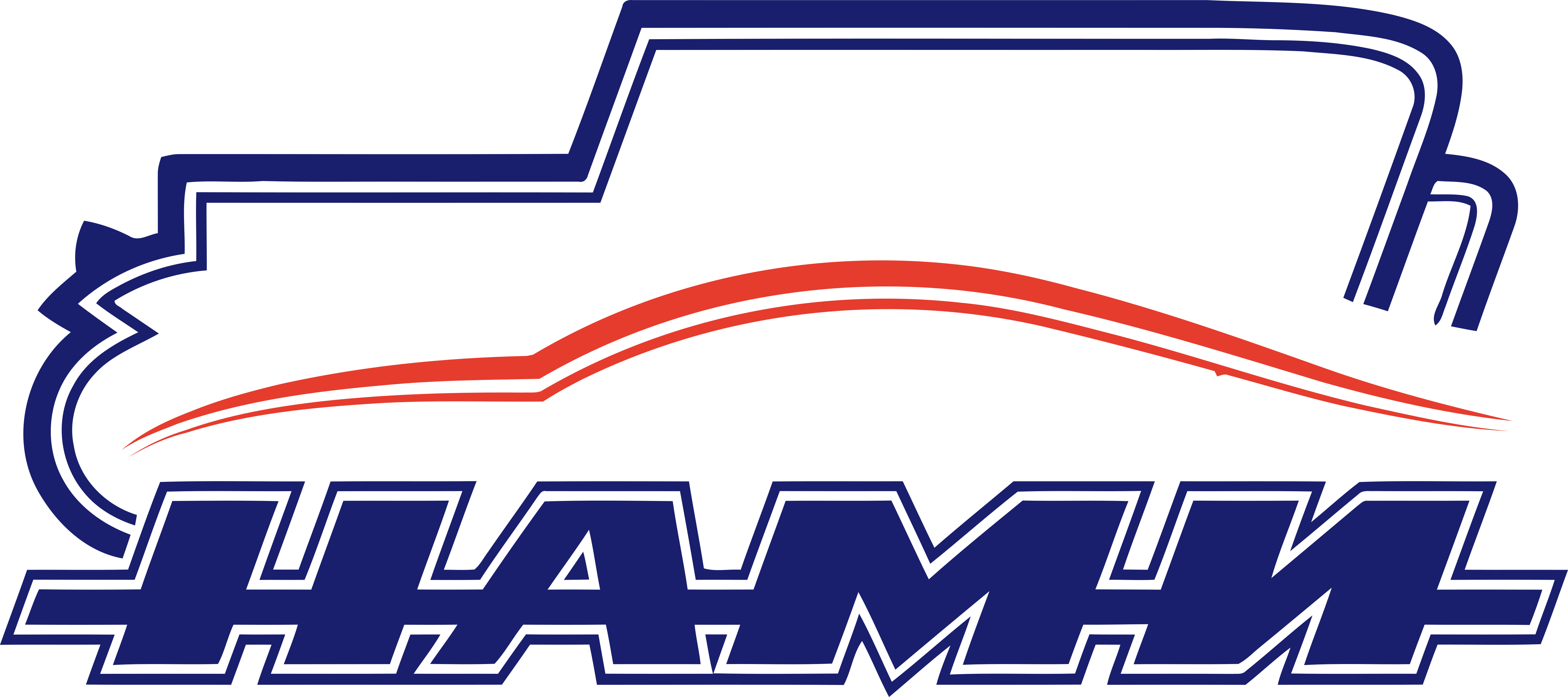 Download Nami Logo, Cdr - Nami - Full Size PNG Image - PNGkit