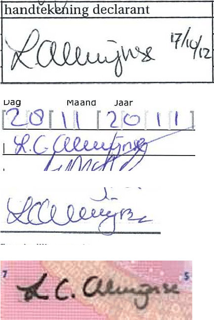 Download Transparent Examples Of Collected Specimen Signatures Written ...