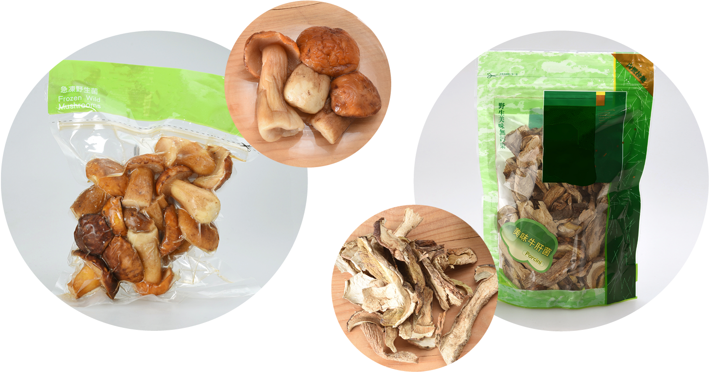 Download Besides Fresh, Porcini May Be Traded As Canned, Frozen ...