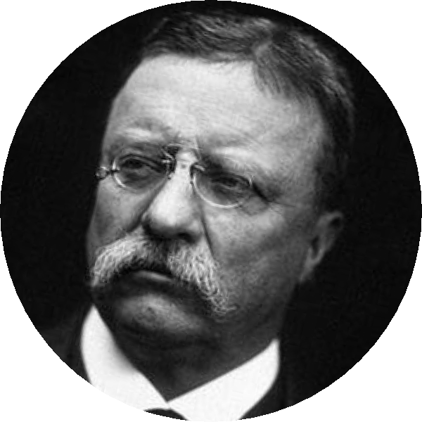 Download Theodore Roosevelt - Monochrome - Full Size PNG Image - PNGkit