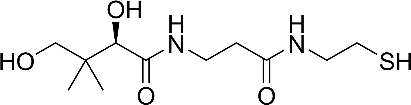 Download Pantetheine Structure - Betaine Hydrochloride - Full Size PNG ...