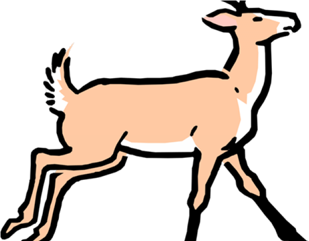 Download Deer Buck Cartoon - Full Size PNG Image - PNGkit