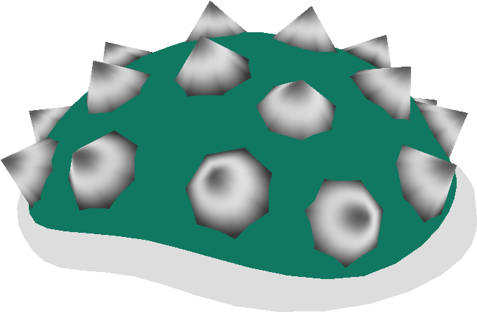 Download Download Zip Archive - Turtle Shell Roblox - Full Size PNG ...