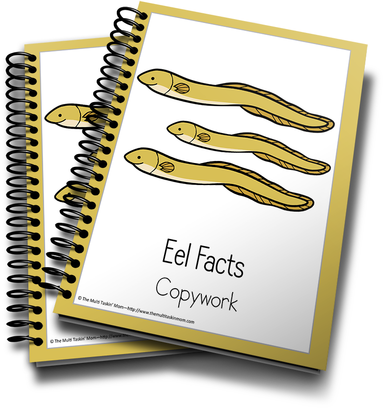 Download Eel Color And Copywork - Minecraft Stationery - Full Size PNG ...