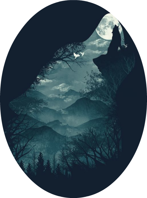 Download Howling Wolf - Wolf Art - Full Size PNG Image - PNGkit