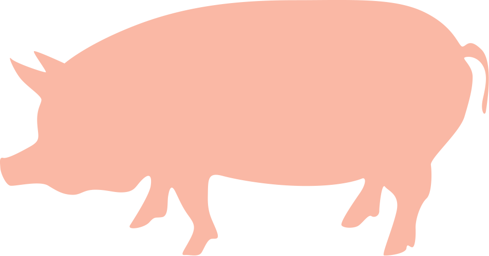 Download Pig Shadow Pig - Pig Png Shadow Clipart - Full Size PNG Image ...