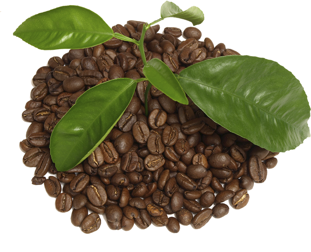 Download Coffee With Leaf Png - Coffee - Full Size PNG Image - PNGkit