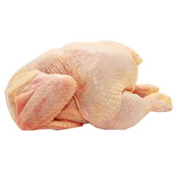 Download Transparent Chicken - PNGkit