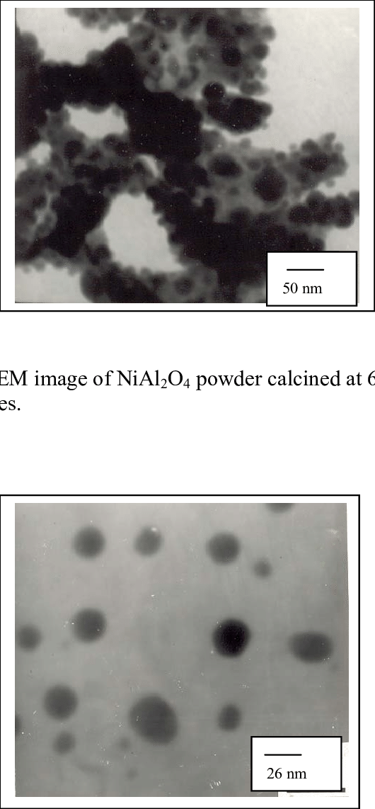 Download Bright Field Tem Image Of Nial 2 O 4 Powder Calcined - Tree ...