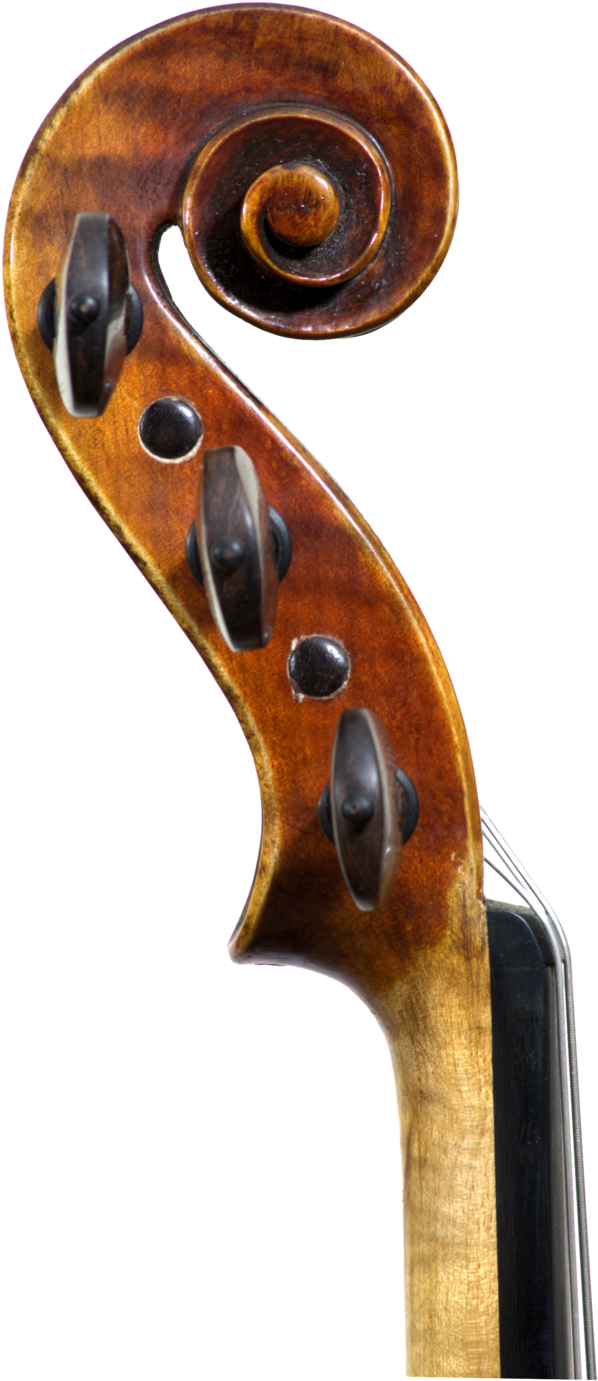 Download Classic5 Scroll - Violin - Full Size PNG Image - PNGkit