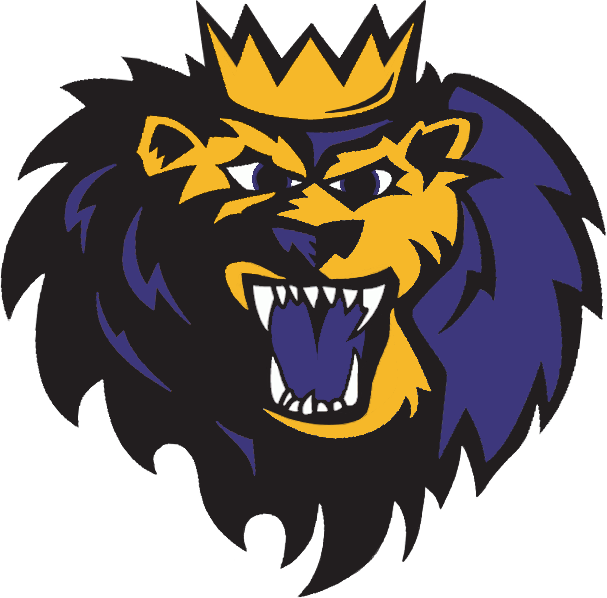 Download Chaz Reddekopp Sent A Pass Through An Adirondack Defenseman ...