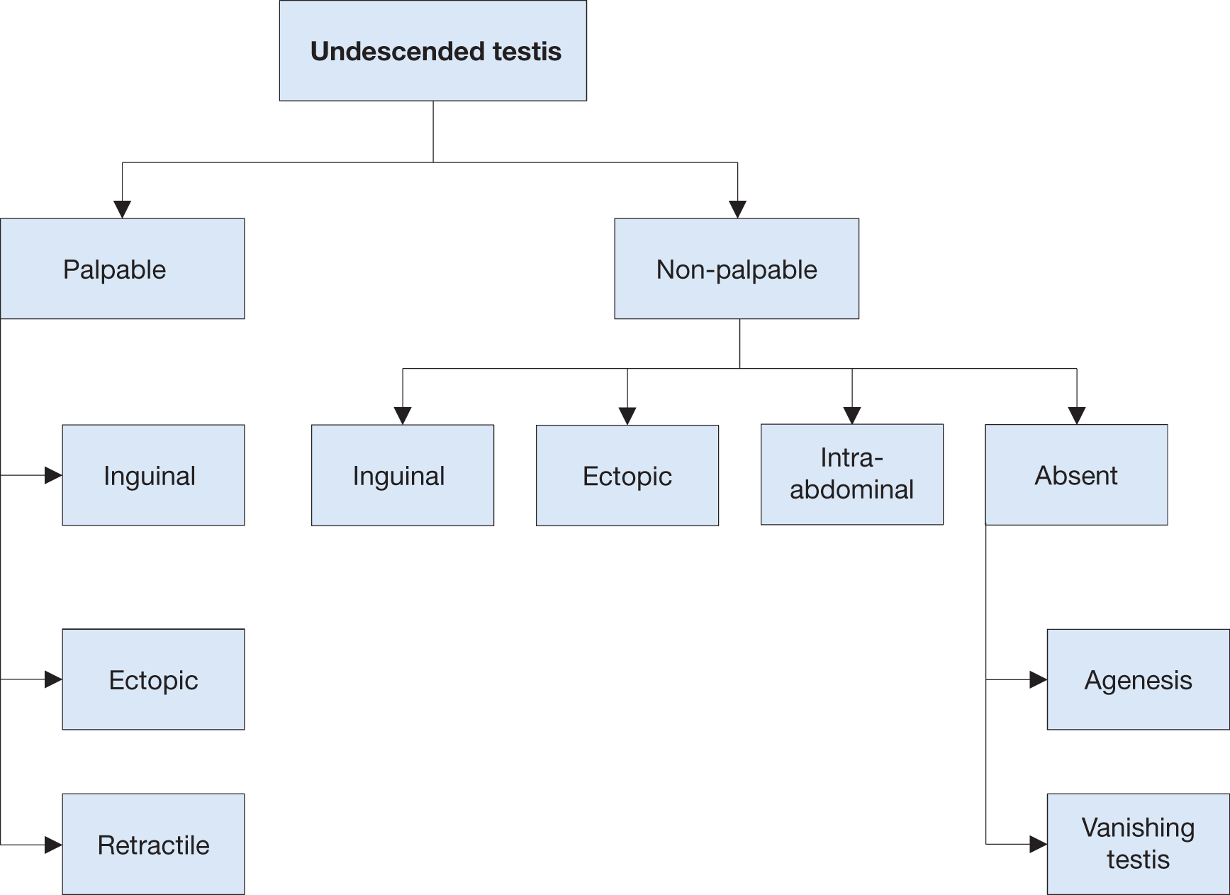 Download Classification Of Undescended Testes - Indicate The Pathway Of ...