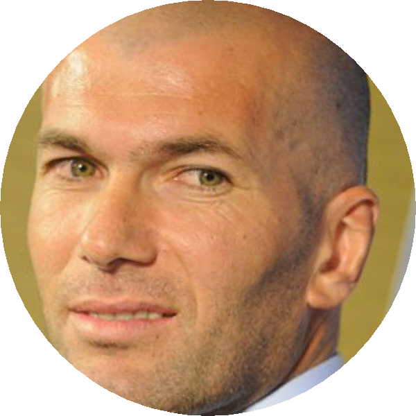 Download Zinedine Zidane - Self-portrait - Full Size PNG Image - PNGkit