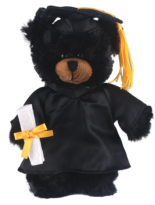 Download Black Teddy Bear - Teddy Bear Graduation Gown - Full Size PNG ...