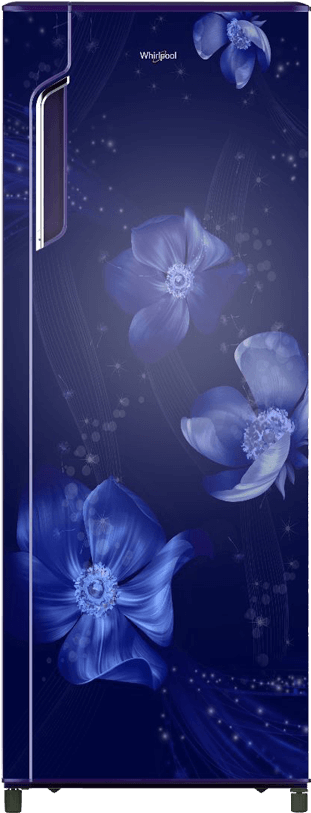 Download Picture Of Whirlpool Fridge 305 Imfresh 4s Inverter ...