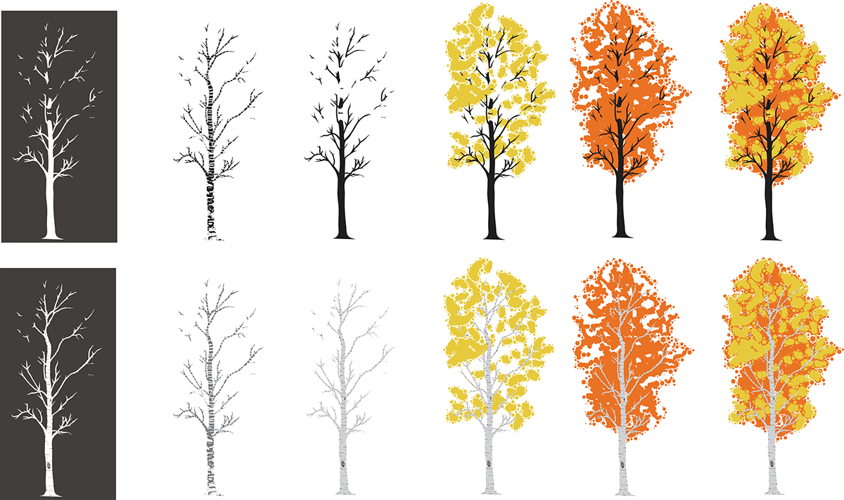 Download My Process Of Creating An Aspen Tree I Drew - Autumn - Full ...