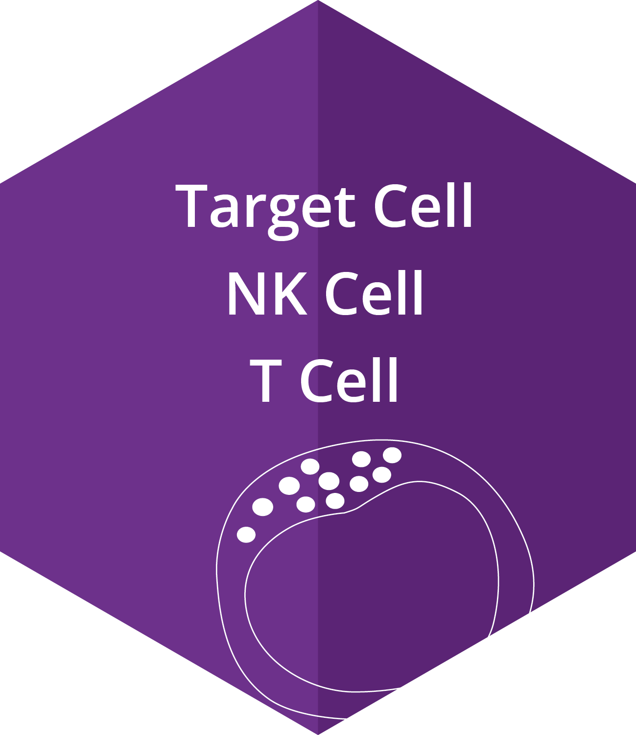 Download Target Cell, Nk Cell, T Cell - Graphic Design - Full Size PNG ...