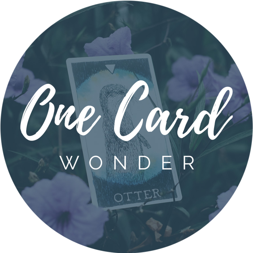 Download One Card Wonder Product Button - Label - Full Size PNG Image ...