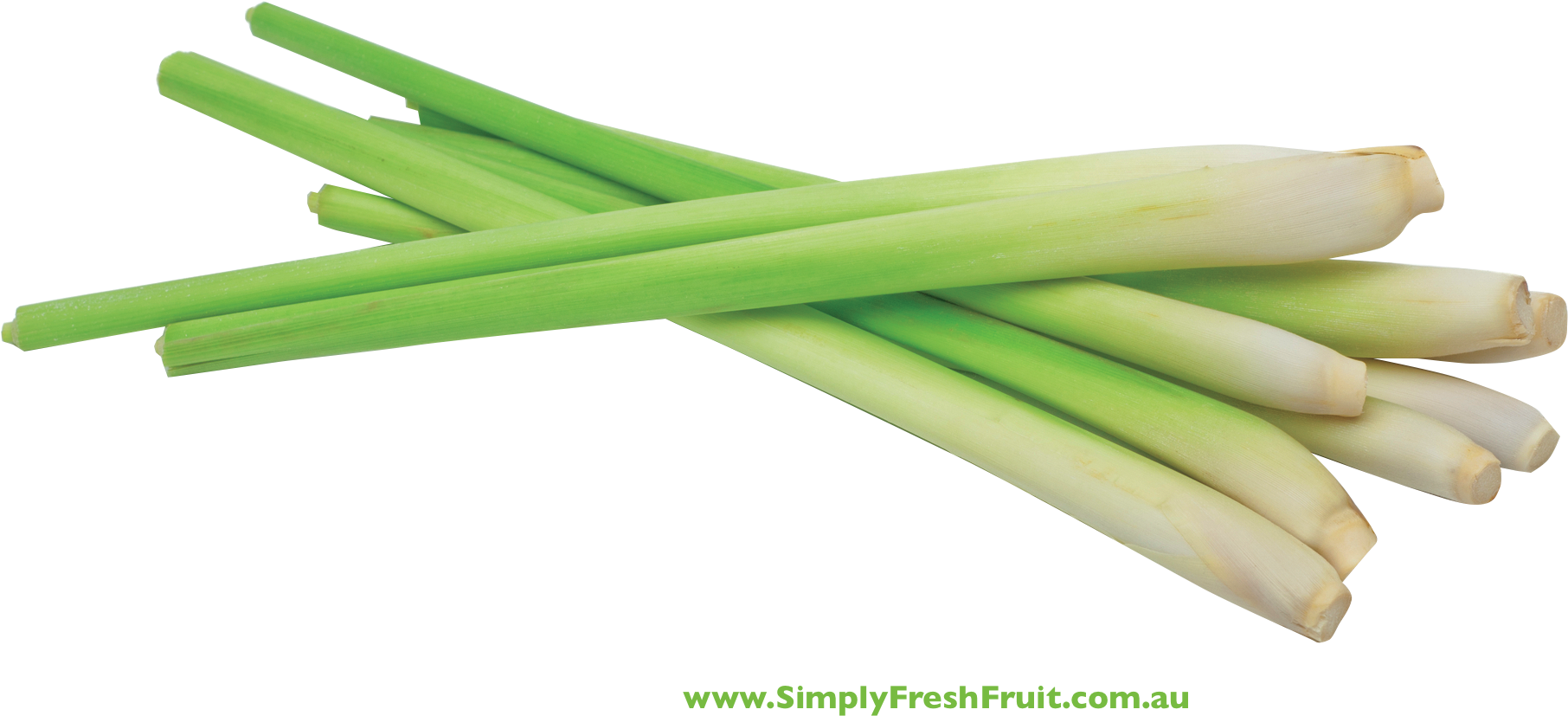 Download View Larger Image - Full Size PNG Image - PNGkit