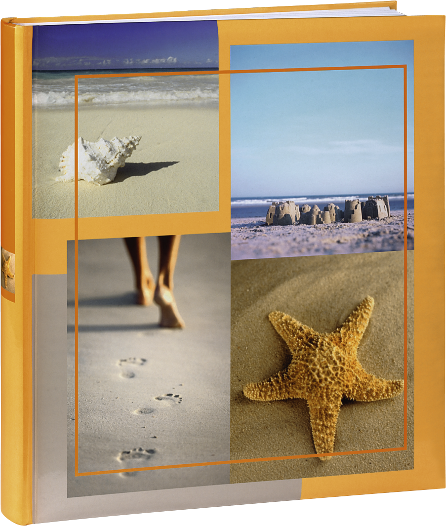 Download "sea Shells" Bookbound Album, Cm, 60 White Pages, Beige ...