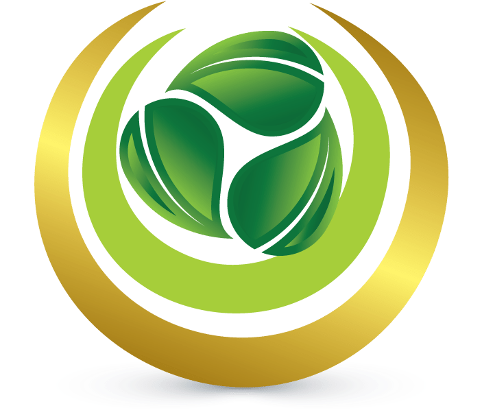 Download Template - Full Size PNG Image - PNGkit