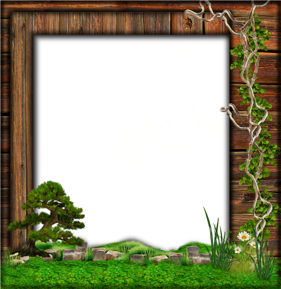 Download Picture Frame - Full Size PNG Image - PNGkit