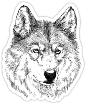 Download Transparent Wolf Stickers - Wolf - PNGkit
