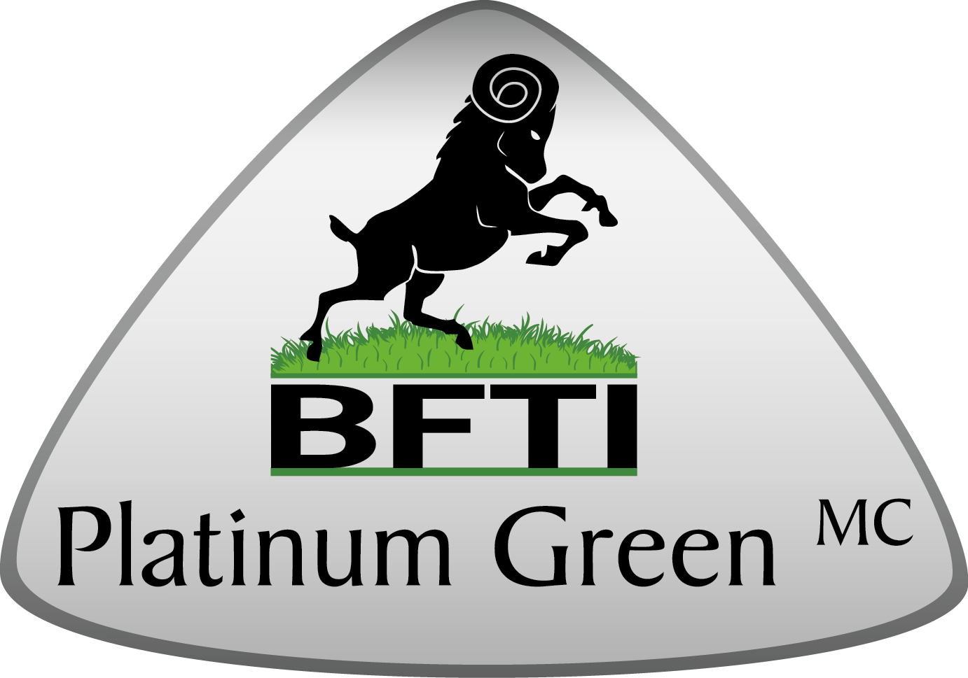 Download Bfti Platinium Fr Vecto - Silhouette - Full Size PNG Image ...