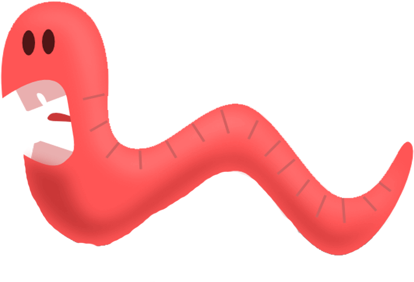 Download Worms Png Picture - Marine Invertebrates - Full Size PNG Image ...