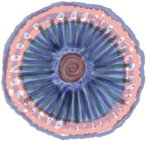 Download Digital Mandala Pink And Blue Blank Backround Low Res - Circle ...