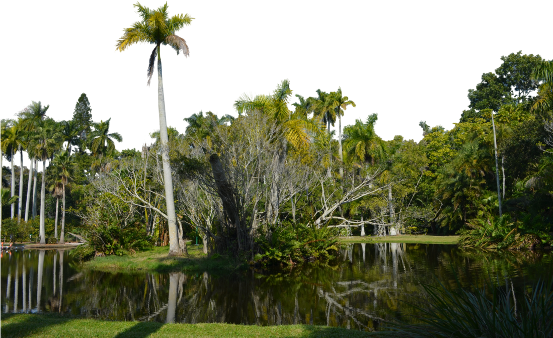 Download Go To Image - Tropical Island Transparent Background - Full ...