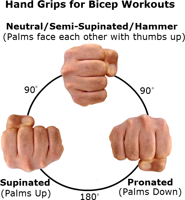 Download Short And Stout Maximizing Thickness With The Short - Hairy ...