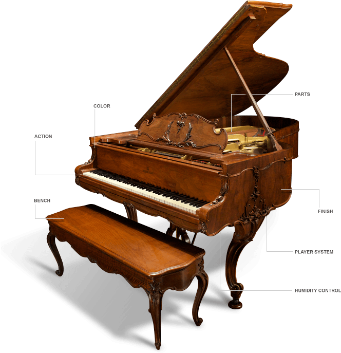 Download Tailored Restoration - Parts Of A Grand Piano Exterior - Full ...